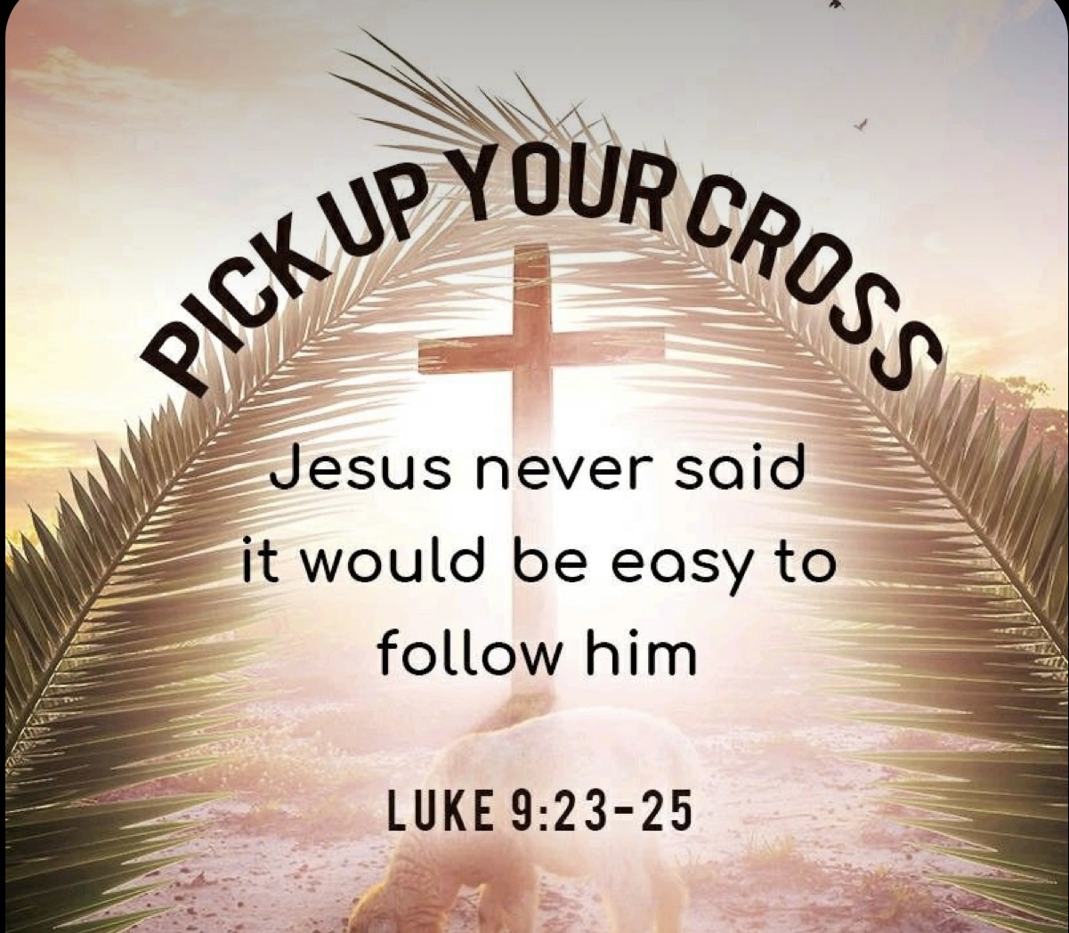 The Way Of The Cross Leads Home! | Jump for Joy!