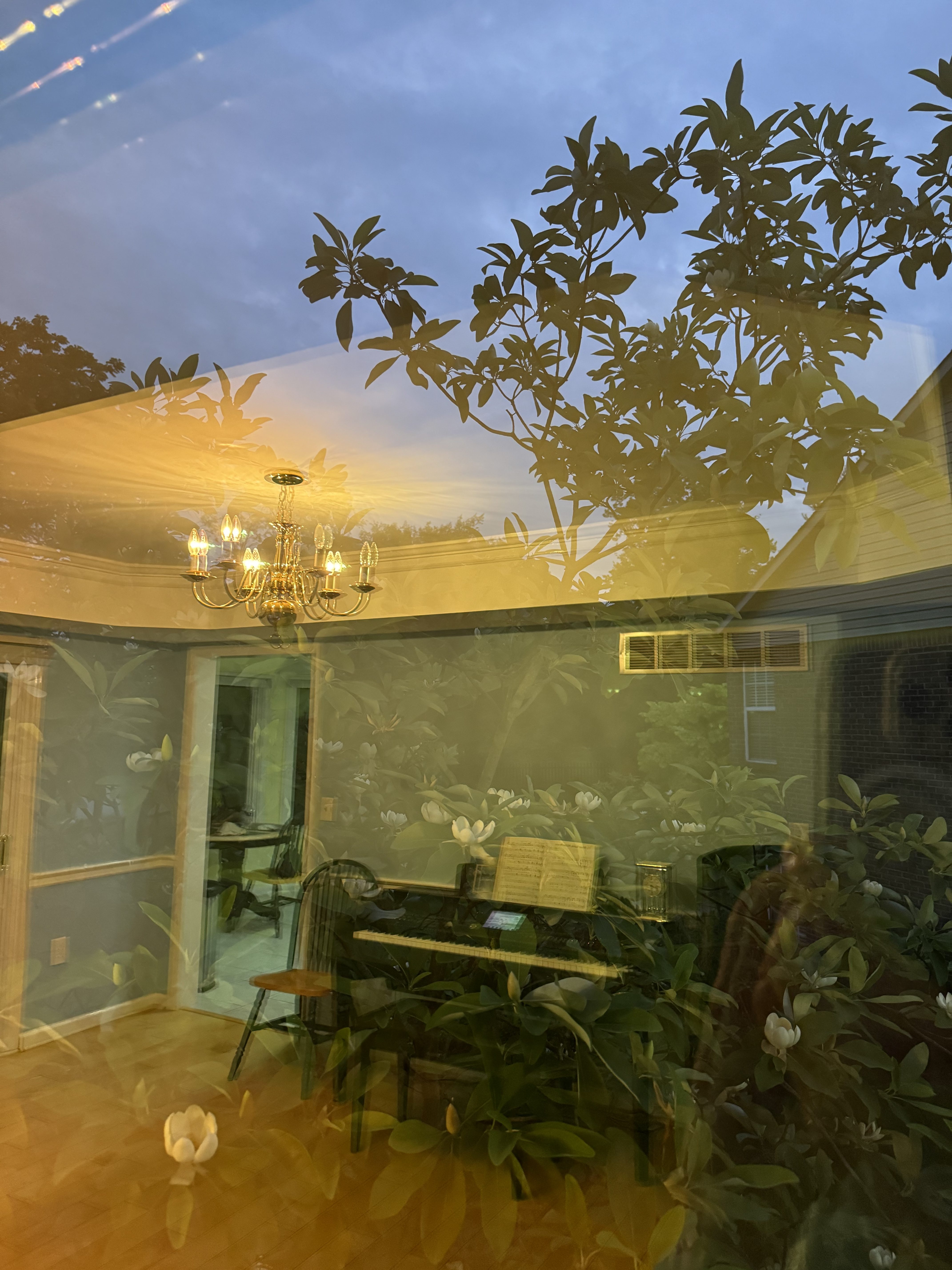 Preview Of Heaven | Jump for Joy!