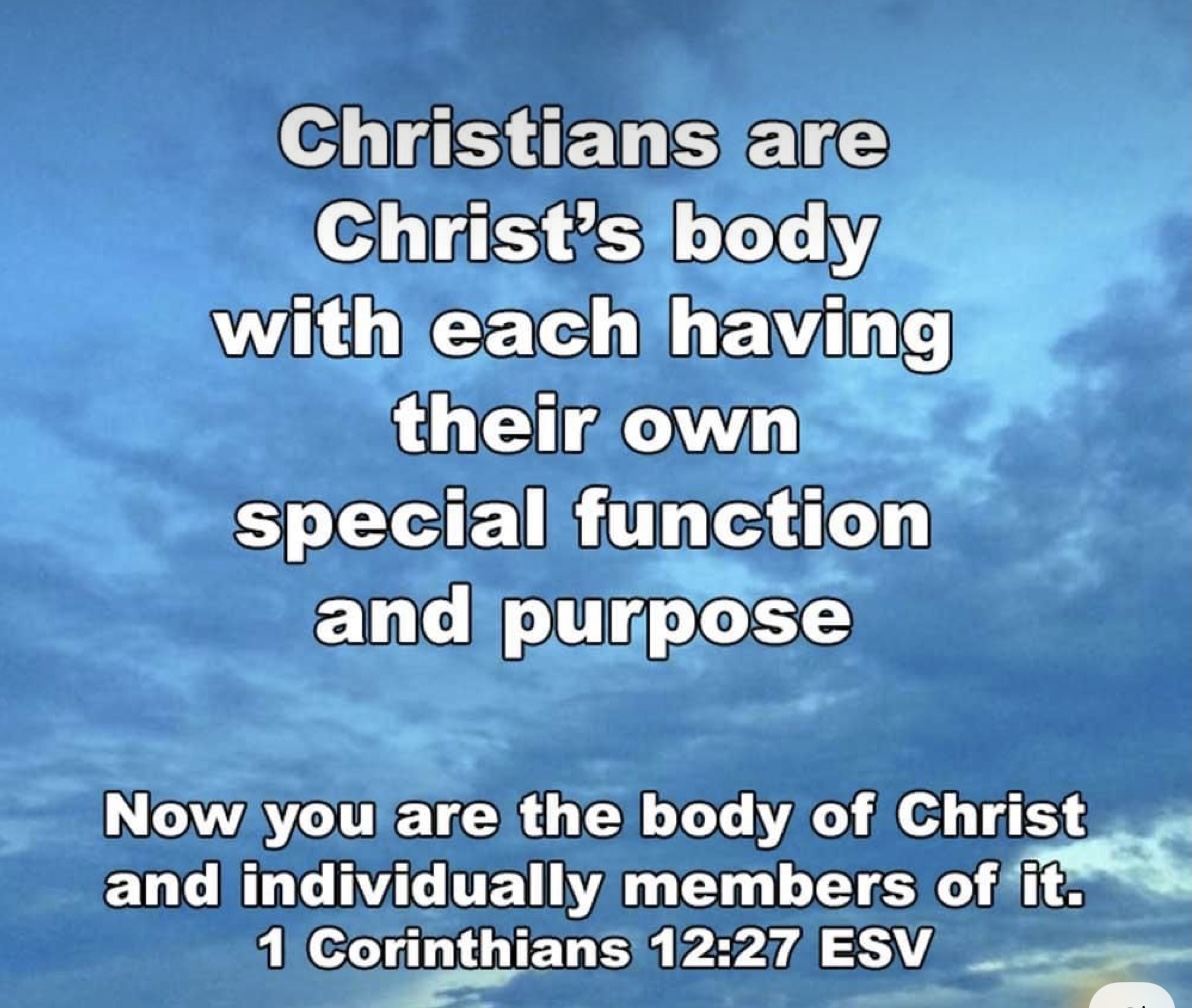 God’s Body | Jump for Joy!